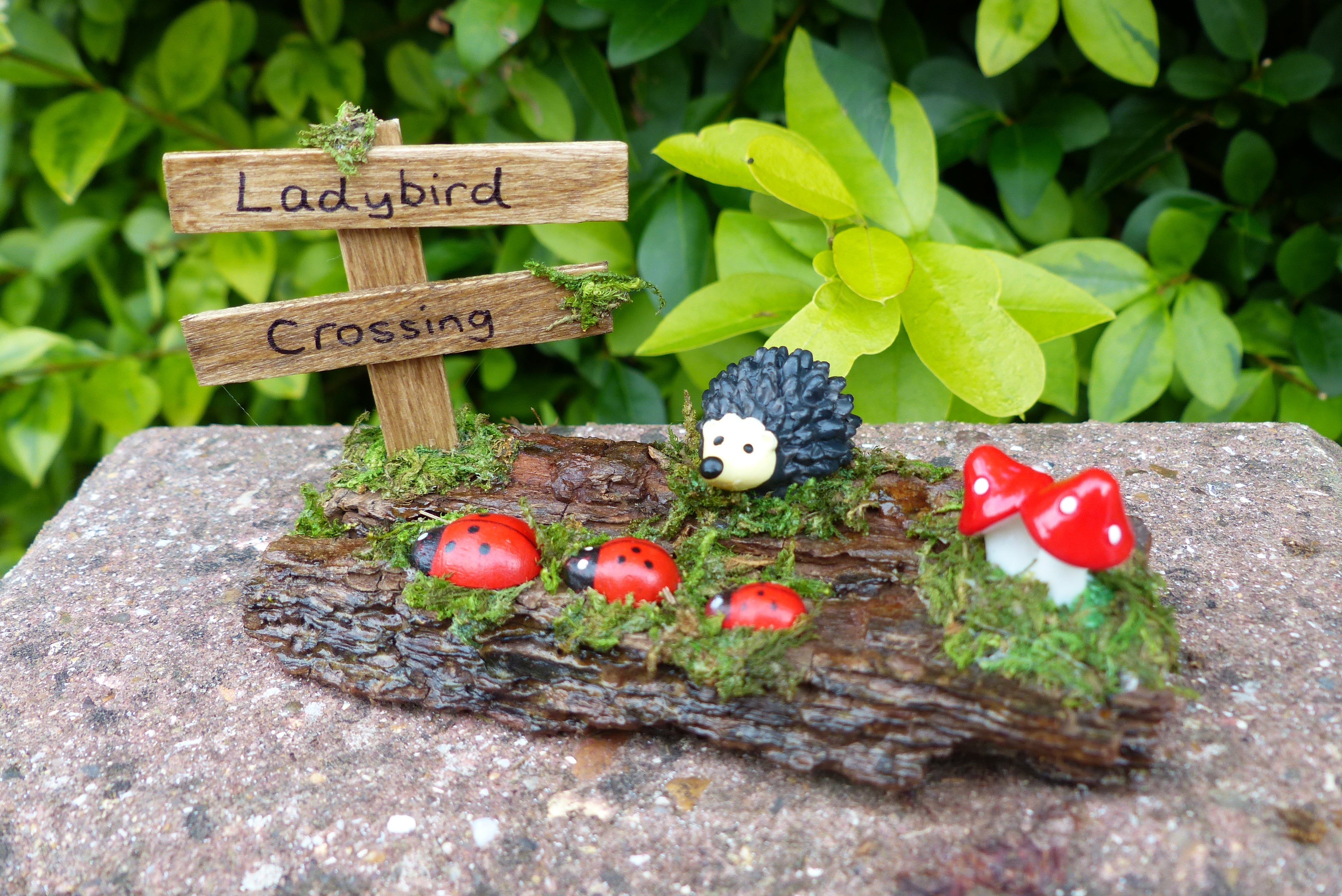 Ladybird Crossing – Fairies of Tranquility